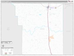 Brooks County, TX Map (Premium Style)