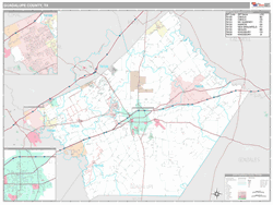 Guadalupe County, TX Map (Premium Style)