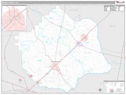 Pierce County, GA Map (Premium Style)
